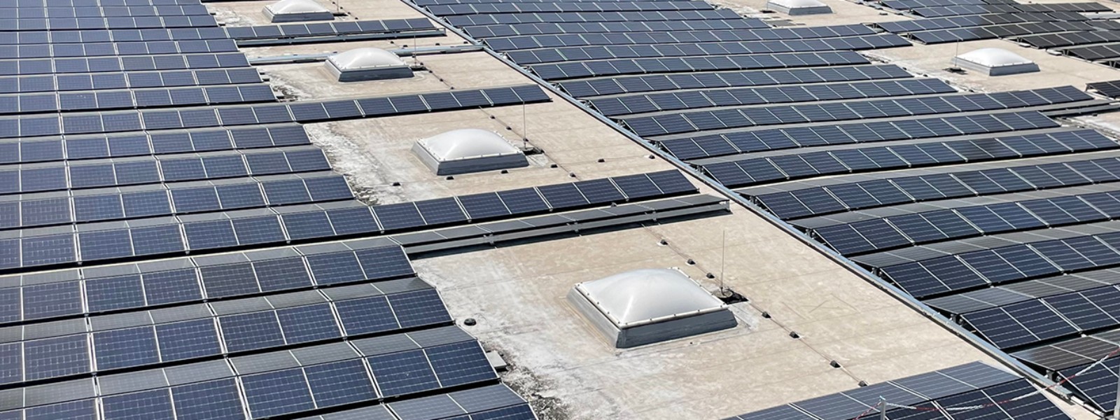 New ideas implemented in the realm of environment, health and safety ...